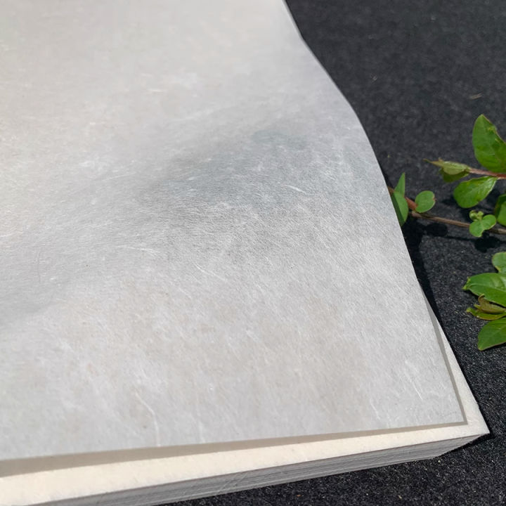 Mulberry Fiber Rice Paper Papel Chinese Yunlong Fiber Xuan Paper ...