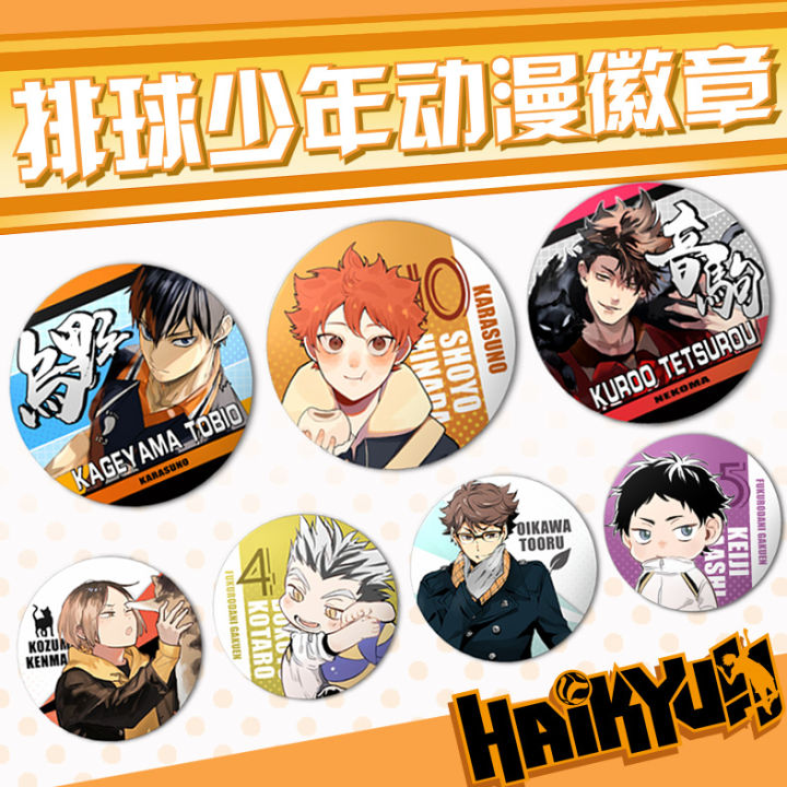 Haikyuu!! Laser badge Tinplate badge Clothes & bags accessories brooch ...