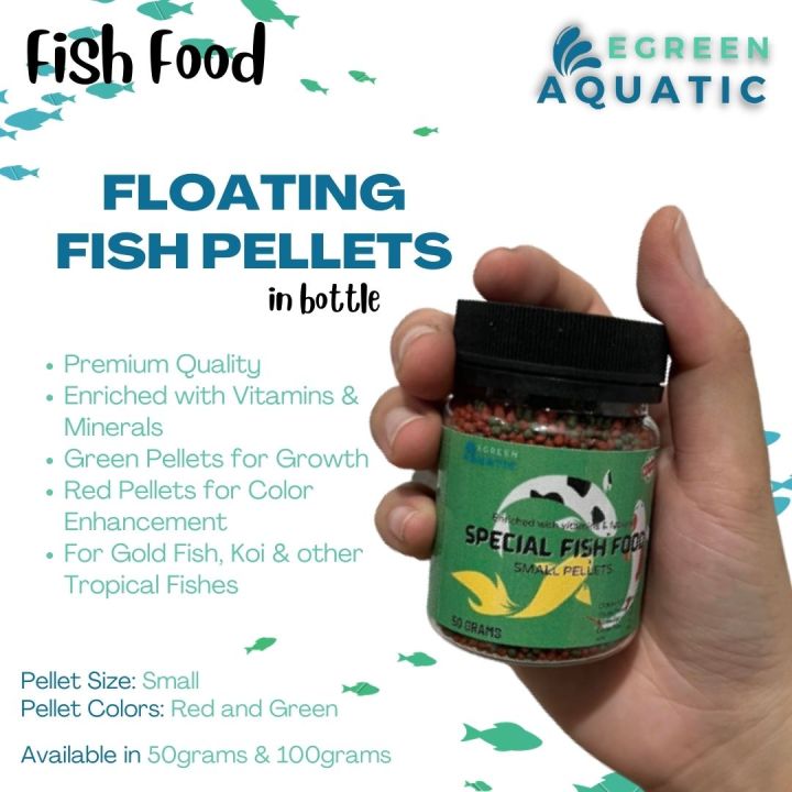 FISH FOOD FLOATING PELLETS - SMALL in a Bottle 50g | Lazada PH