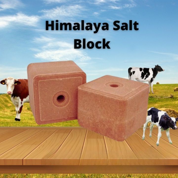 1pc Natural Himalayan Salt Lick for Livestock - Mineral Block for ...