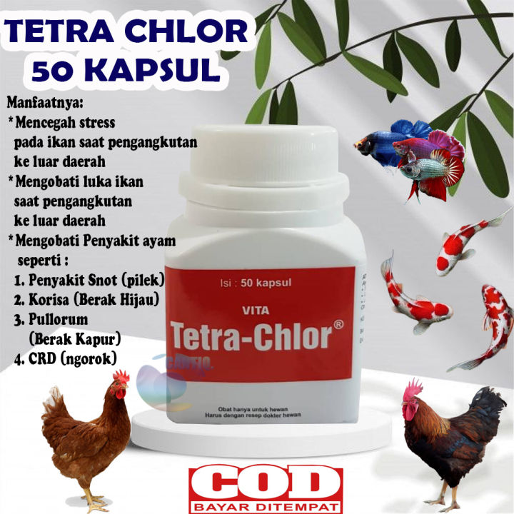 Tetra Chlor Vitamin Untuk Ayam 50 Tablet Tetrachlor - Antibiotik ...
