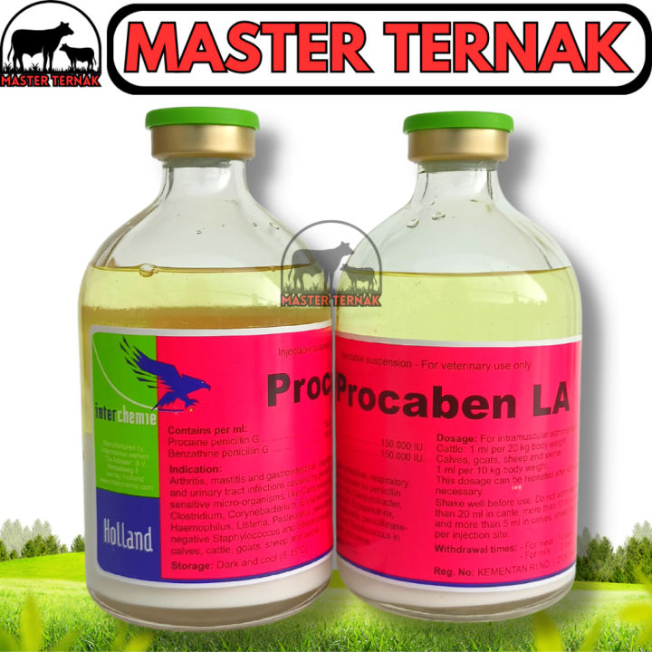 PROCABEN LA 100ML Obat Antibiotik Hewan Pernafasan dan Pencernaan like ...
