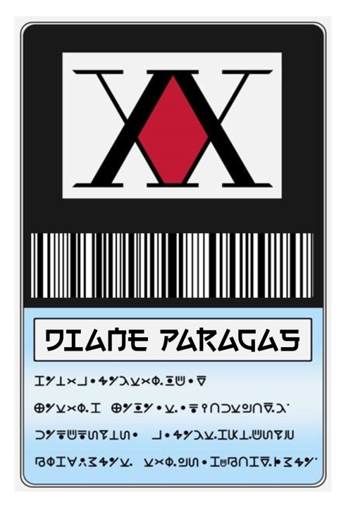 DPS Hunter x Hunter License Card Personalized High Quality PVC Card ...