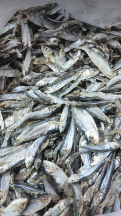 Tuyong Lupoy Vacuumed (500g) | Lazada PH