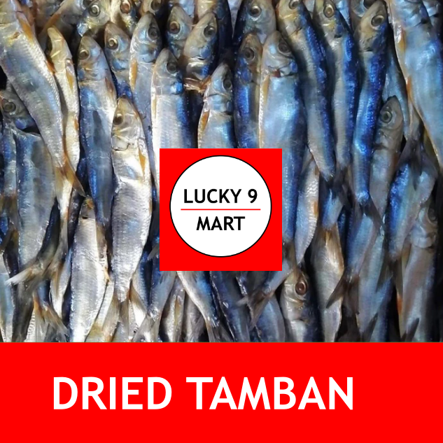 Lucky 9 Dried Seafood Tamban Tuyo 100G | Lazada PH