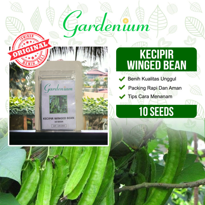 GARDENIUM Benih Kecipir Winged Bean Tanaman Sayur Unggul | Lazada Indonesia