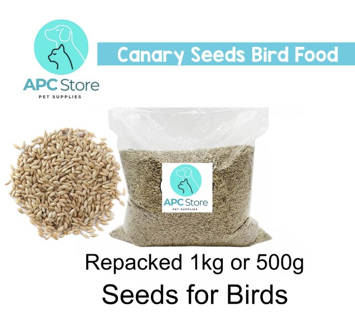 Canary Seeds for Bird Feeds Repacked 1kg / 500g | Lazada PH