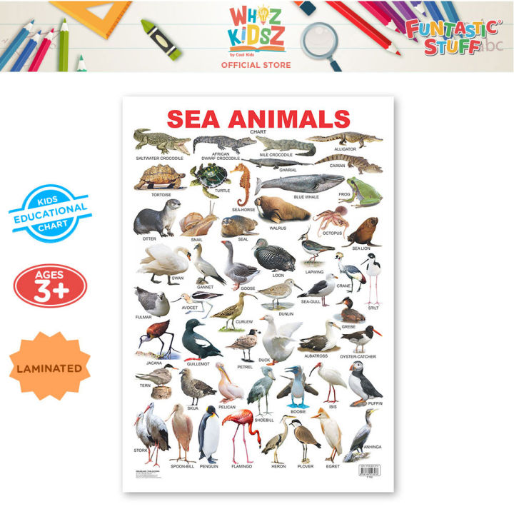Whiz Kidsz Sea Animal Laminated Wall Chart, Educational Chart for Kids ...