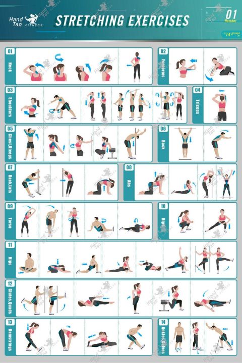 Stretching Exercise Poster BodyBuilding Guide Fitness Gym Chart ...