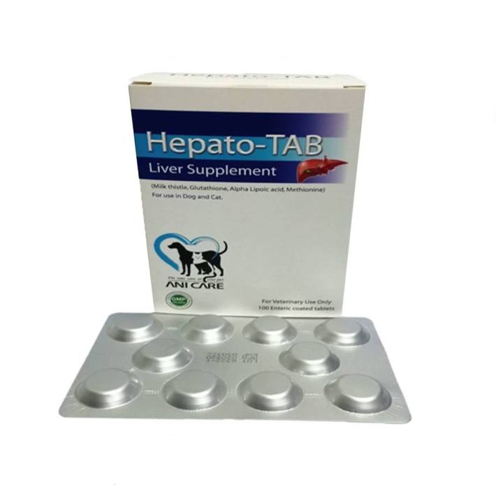 ส่งฟรี Hepato-tab Liver Supplement อาหารเสริม บำรุงตับ แบบเม็ด 100 ...