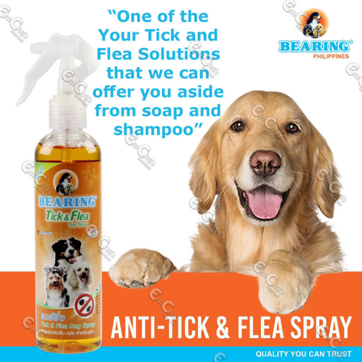 Bearing Tick & Flea Dog Spray 250ml (Agr) Dog Tick And Flea Solutions ...