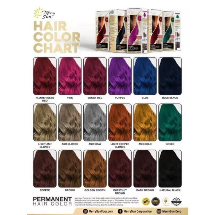 Merry Sun Permanent Hair Color With Hair Therapy | Lazada PH