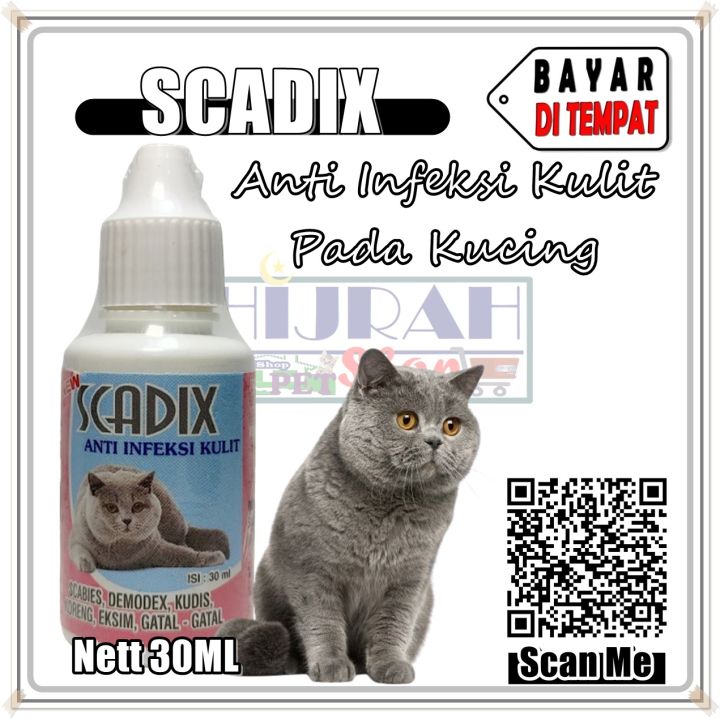 Obat Kucing Obat Jamur Kucing Kutu Korengan Scabies Luka Demodex Kucing ...