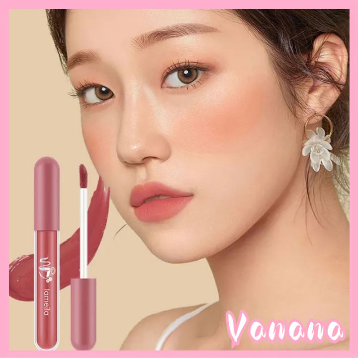 LAMEILA Lip Glaze Long Lasting Liptint Waterproof Velvet Lip Tint Gloss ...