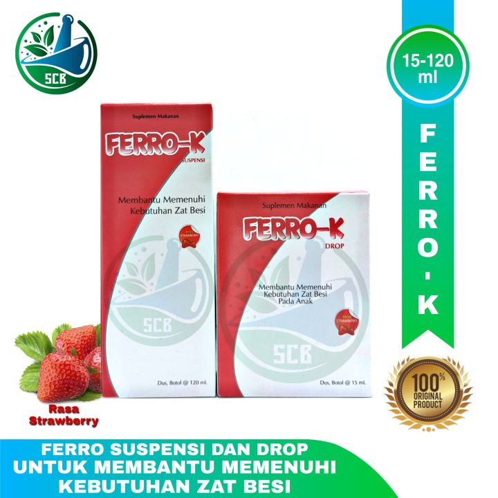 Ferro-K Syrup / Drop - Suplemen Zat Besi Anak | Lazada Indonesia