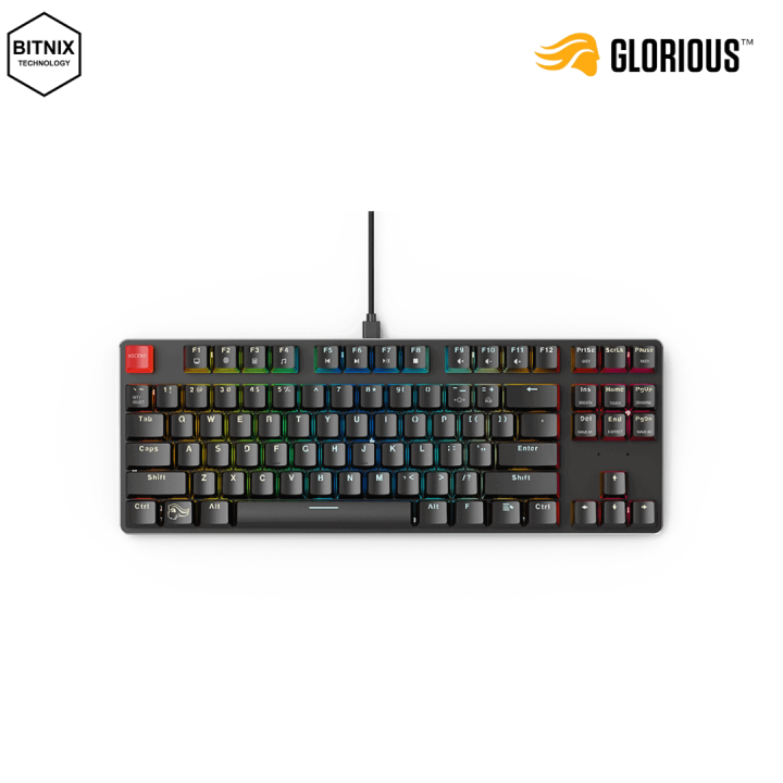 Glorious GMMK RGB MODULAR MECHANICAL KEYBOARD TKL 87 Keys - Gateron ...