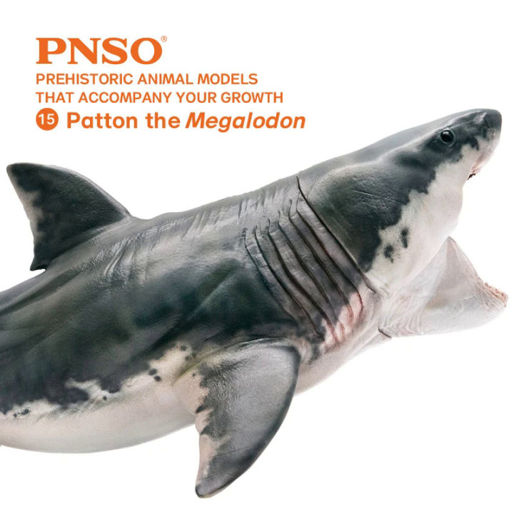 PNSO Prehistoric Animal Models: 15Patton The Megalodon (Big White Shark ...