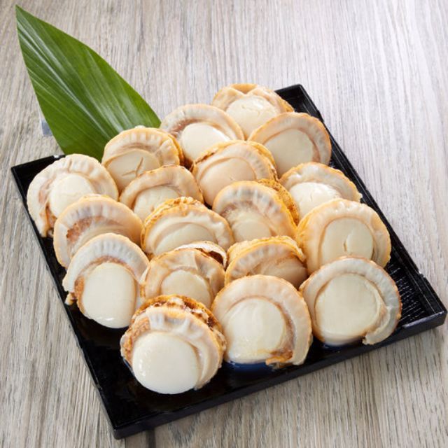 Scallop Hotate 日本带子| ±1kg/pkt | Lazada