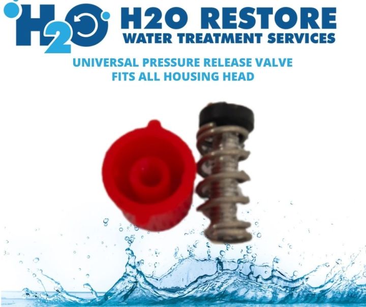 Pressure Release Valve / PRV Button for Water Filter Housing ... Pressure Release Valve / PRV Button for Water Filter Housing ...