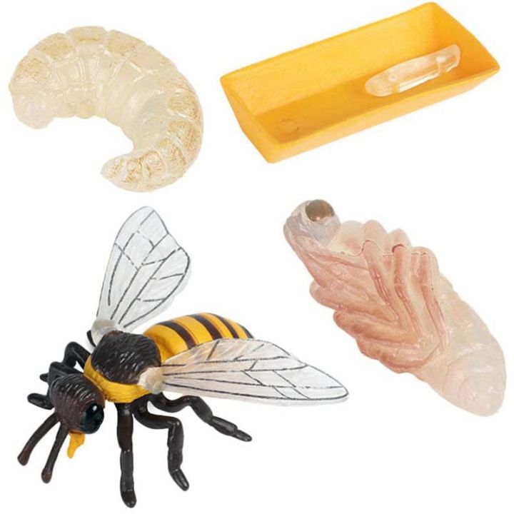 (BKSM) Pack of 4 Insect Figurines Life Cycle of Honey Bee Realistic ...
