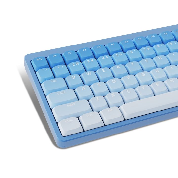 137 Keys Double Shot Slim Keycaps Low Profile MX Keycaps for 60% 65% 75 ...
