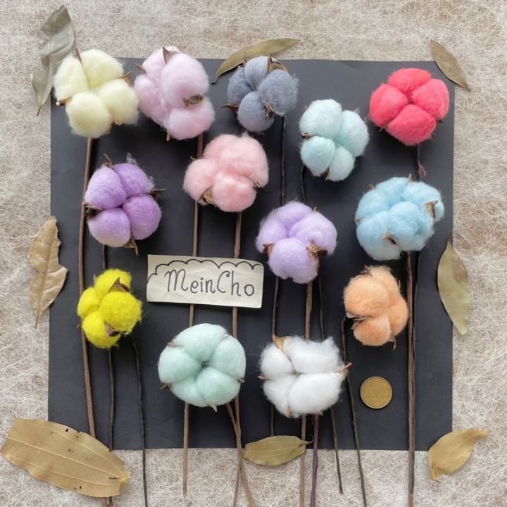 (5 tangkai) Bunga KAPAS Cotton Flower Kapuk Bunga Kering Dried Properti ...