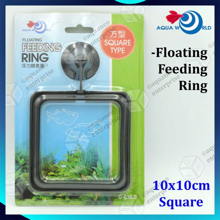 Aquaworld Floating Fish Food Feeding Ring - Square Type | Lazada