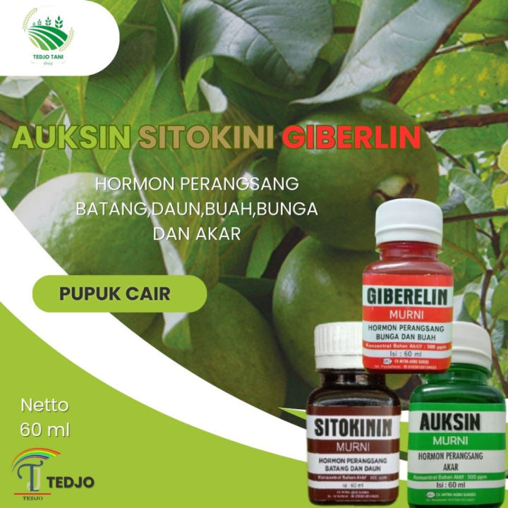 pupuk hormon zat pengatur tumbuhan Paket Lengkap Auksin Giberelin ...