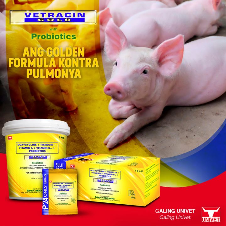 Viddavet Vetracin Gold with Probiotics 5 grams/24 grams vetracin gold ...