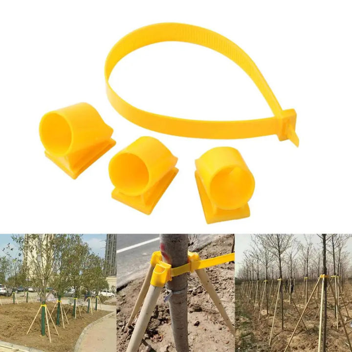 Practical Plant Support Frame Big tree Growing Support Stakes Tripod ...