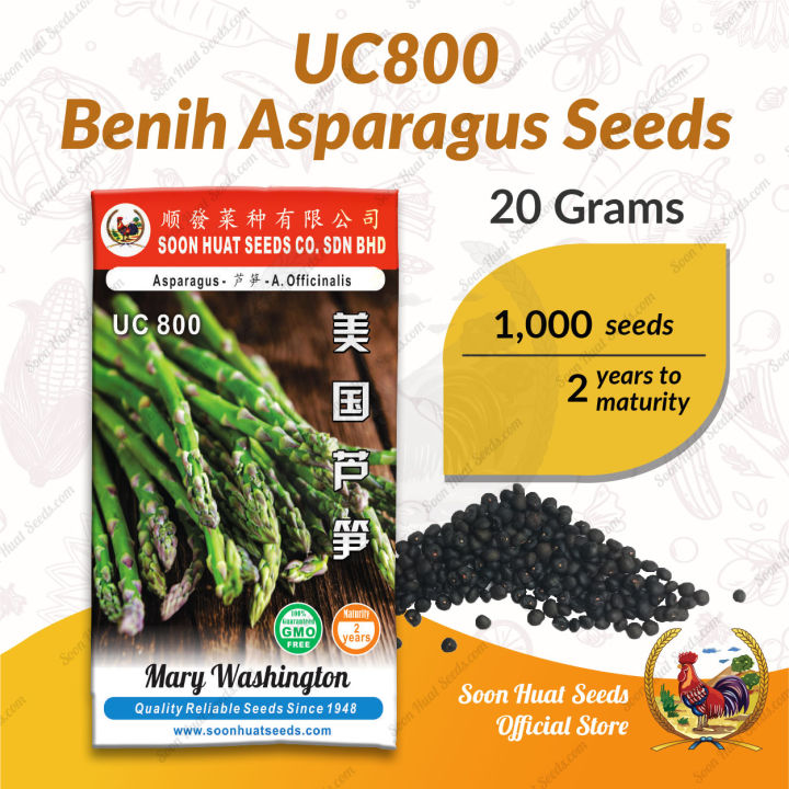 Benih Asparagus Soon Huat Seeds(It's a seed, not a plant!) | Lazada