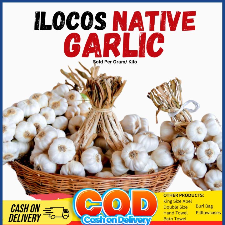 Ilocos Native Garlic Mabango Ilocos Garlic Big Size Native garlic of ...