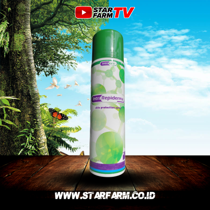 Intra Repiderma Spray 250 ml - Star Farm | Lazada Indonesia