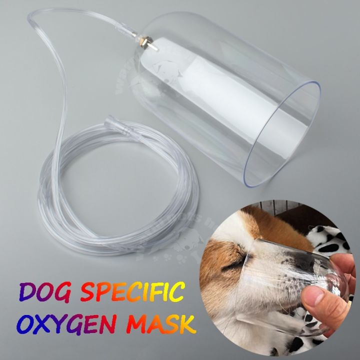 Pet Dog Cat Oxygen Dogs Foxes Long Noses Animals Cylinder Oxygen ...