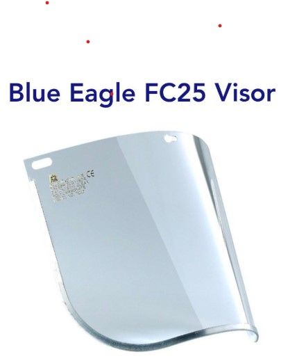 BLUE EAGLE FC25 FACESHIELD VISOR CLEAR 8x12" | Lazada PH