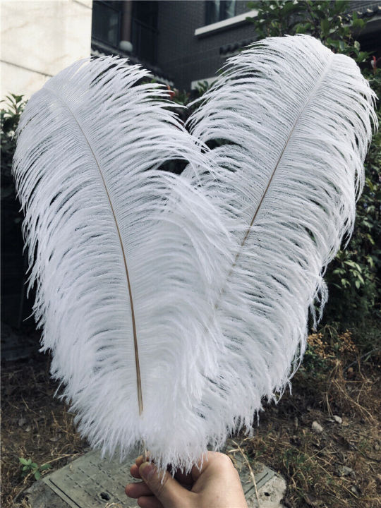 white ostrich feather long and short bulu burung unta putih panjang ...