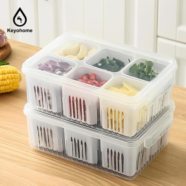 Scallion Preservation Box Plastic Fridge Fresh-Keeping Container with ...