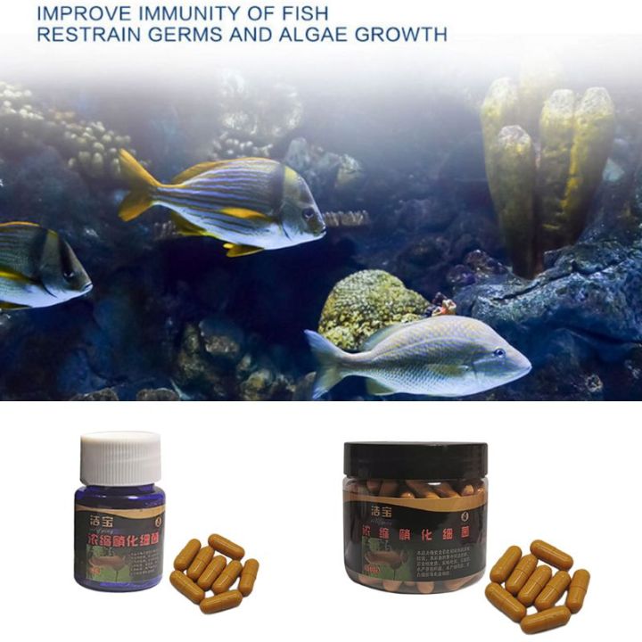 Aquarium Nitrifying Bacteria Super Concentrated Capsule Fish Tank Pond ...