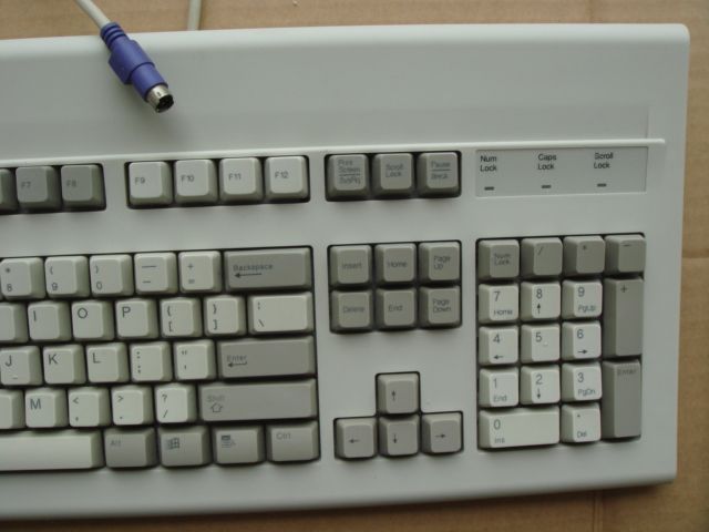 Imported DELL Dell mechanical keyboard AT101W (ALPS black shaft gold ...