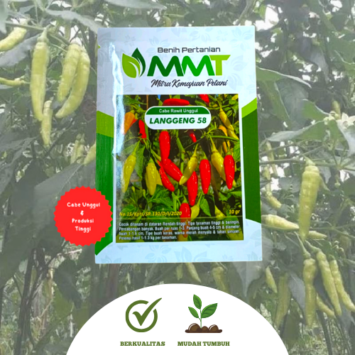 Benih Cabe Rawit LANGGENG 58 Kemasan 10gr Cabai Unggul Asli Cap MMT ...