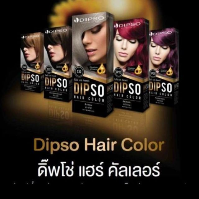 ดิ๊พโซ่ เเฮร์ คัลเลอร์/ DIPSO HAIR COLOR ปริมาณสุทธิ 110 มล. | Lazada.co.th
