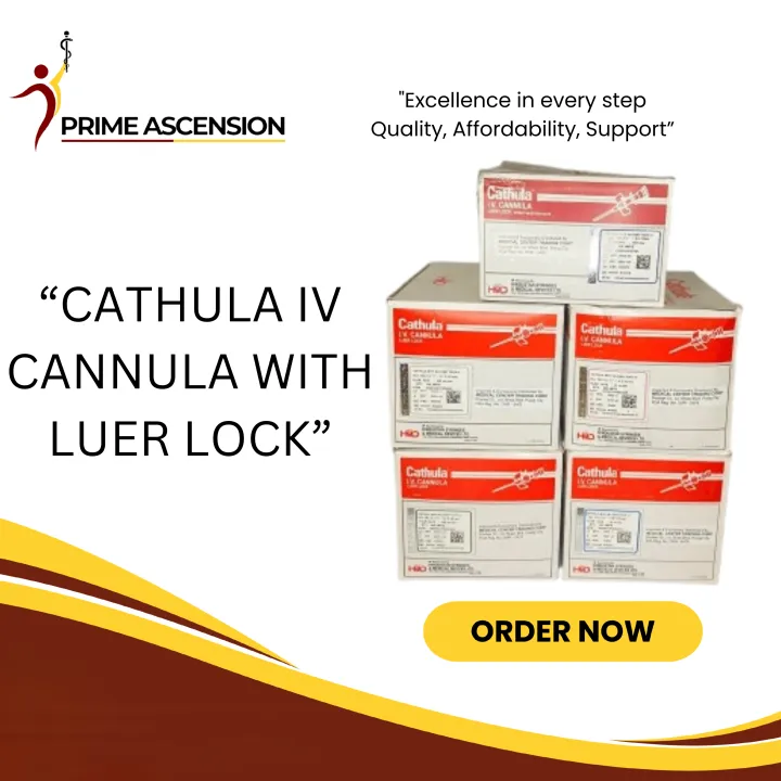 CATHULA IV CANNULA WITH LUER LOCK (SOLD PER BOX) | Lazada PH