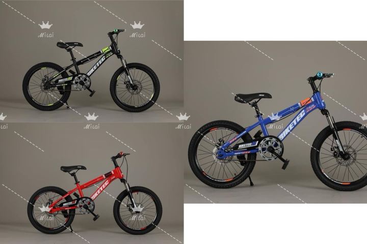 Single Speed Chromoly frame disc brake BT237 BIKETEC Mini mountain bike ...