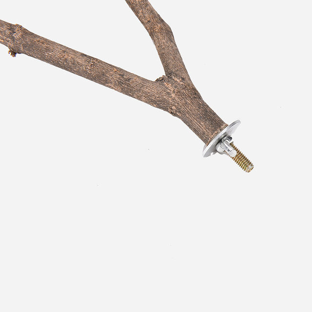 1pc Hamster Branch Perches For Bird Cage 15cm Pet Parrot Raw Wood Fork ...