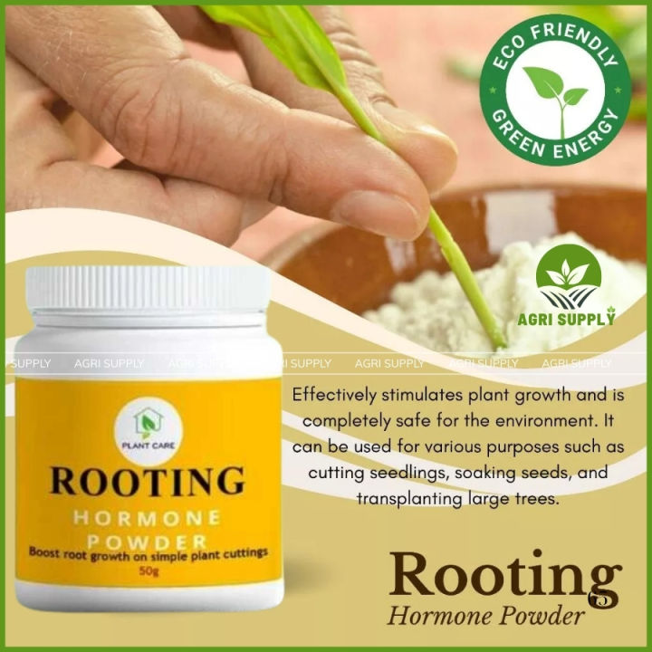 [NEW] Special Rooting Hormone Powder 50G - Stimulates Roots, Rooting ...