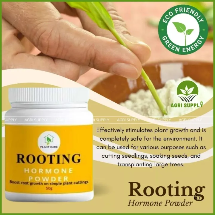 [NEW] Special Rooting Hormone Powder 50G - Stimulates Roots, Rooting ...