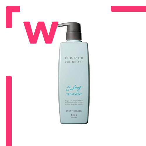 Promaster Color Care Carmy Hair Treatment 600g | Lazada PH