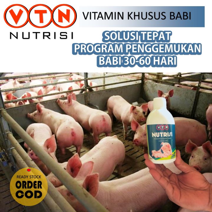 Vitamin Babi Semua Umur Vitamin Babi Cepat Besar Campuran Pur Babi dan ...