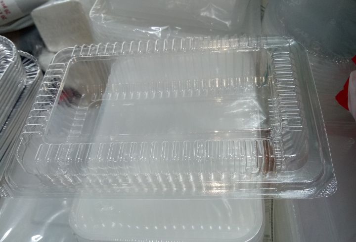 C301 Rectangular Clamshell Plastic Container (7.5" x 5" x 1.7") | Lazada PH