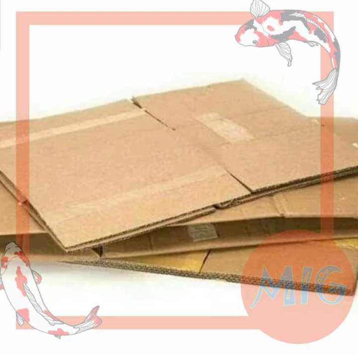 extra packing kardus dus 1 lapis untuk packing barang produk | Lazada ...